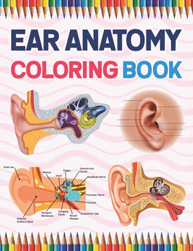 Ear Anatomy Coloring Book : Human Ear Anatomy Workbook for Kids. Human ...