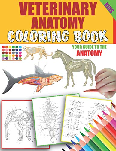 Veterinary Anatomy Coloring Book: Animal body coloring & activity book ...
