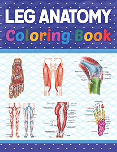 Leg Anatomy Coloring Book : Human Leg Anatomy Self Test Guide for ...
