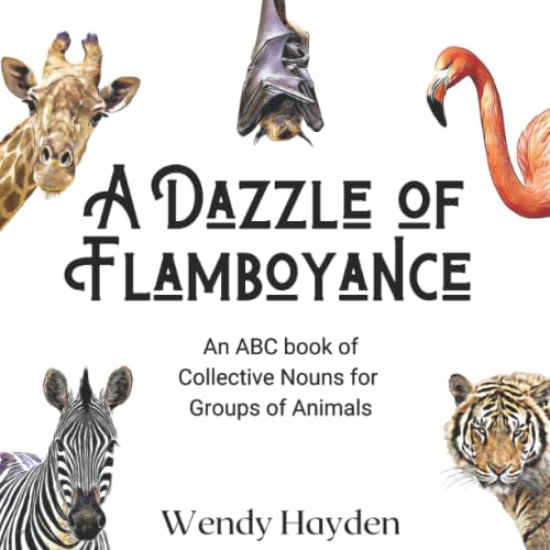 A Dazzle of Flamboyance: An ABC book of Collective Nouns for Groups of ...
