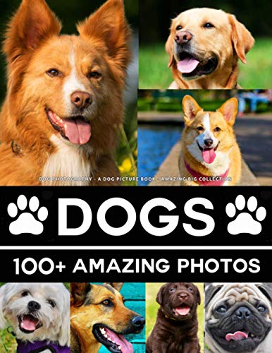 Dog Photography - A Dogs Picture Book - Amazing Big Collection: 100 ...