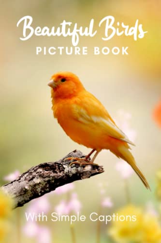 Picture Book of Beautiful Birds : Book Gift for Dementia Patients and ...
