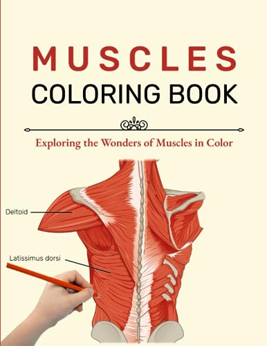 Muscles Coloring Book: Exploring the Wonders of Muscles in Color By ...